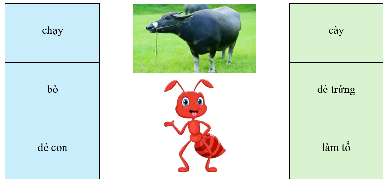 Em hãy quan sát bức tranh dưới đây và nối các động từ phù hợp với sự ...