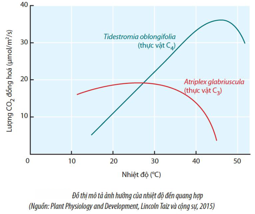 Trong điều hòa hoạt động gene trong operon Lac ở sinh vật nhân sơ ...