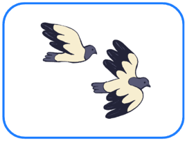 Look, read and circle. There is one example. I have four birds. I have ...