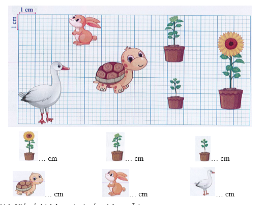 Viết vào ô trống chiều cao thích hợp của các cây và con vật dưới đây: