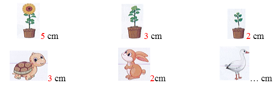 Viết vào ô trống chiều cao thích hợp của các cây và con vật dưới đây: