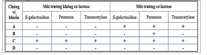 Ở vi khuẩn E.coli kiểu dại, sự biểu hiện của gene lacZ (mã hóa beta ...