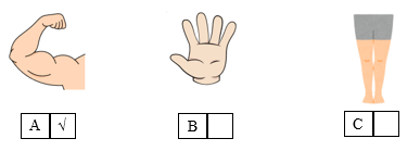 Listen and tick (√) the box. There is one example.