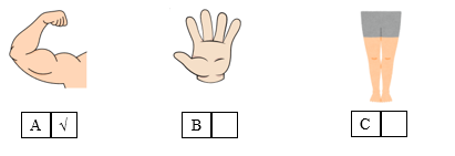 Listen and tick (√) the box. There is one example.